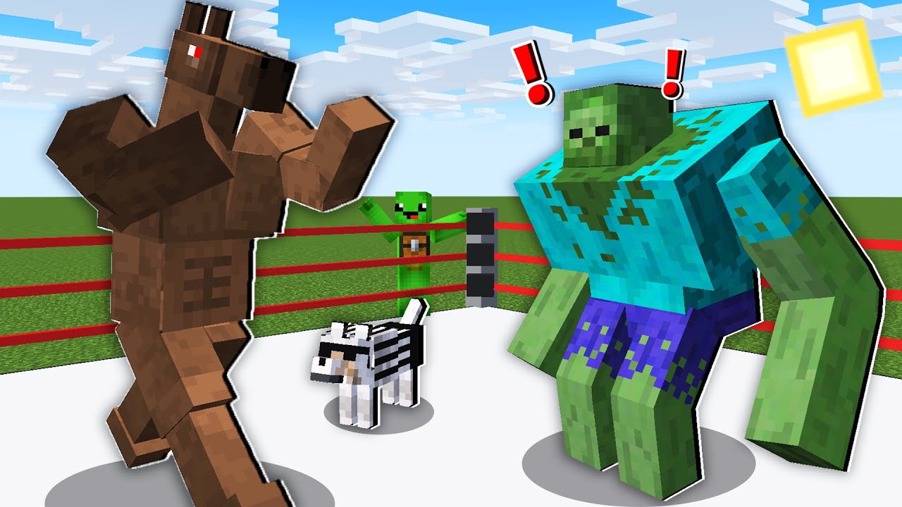 CEL MAI TARE MECI DE BOX! *Patrocle e Arbitru?!* - YouTube