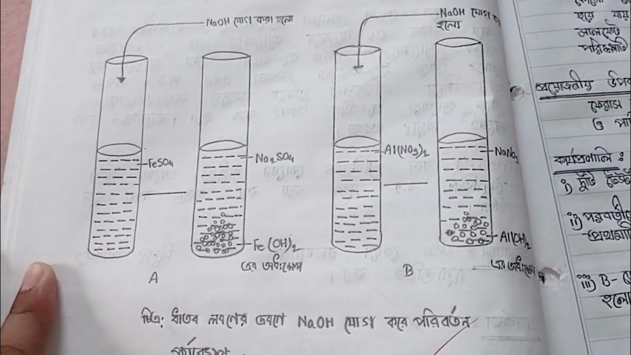 এসএসসি ২০২৫ রসায়ন ব্যবহারিক চিত্রসহ সম্পূর্ণ সমাধান | SSC 2025 Chemistry Practical | Part-2 ...