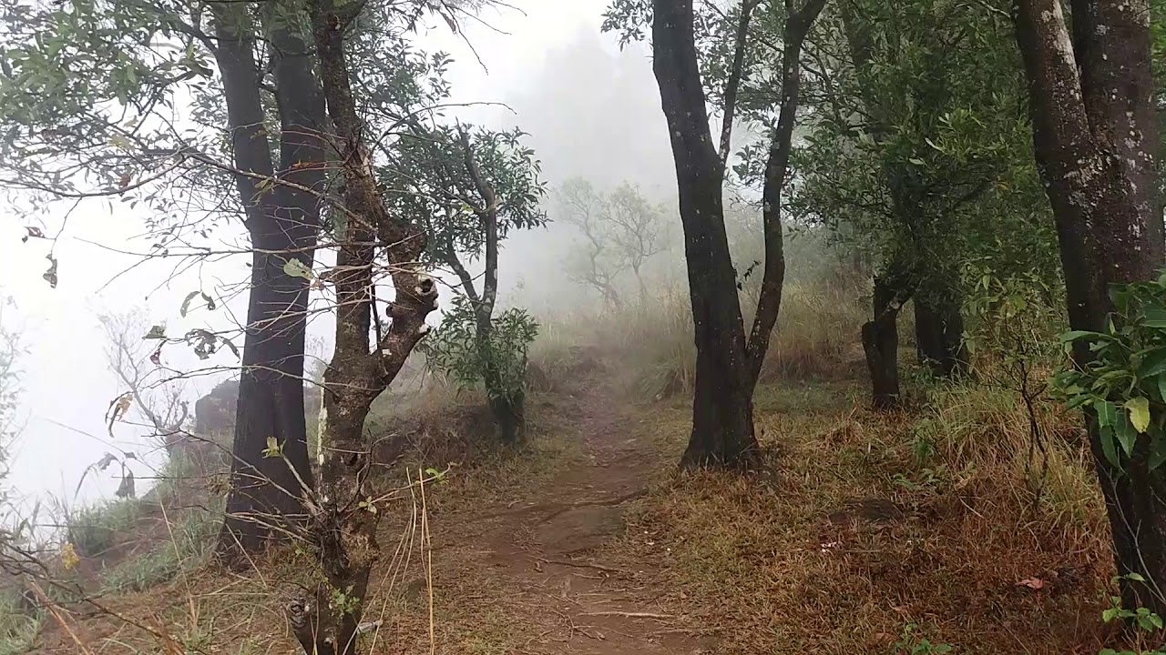 Idukki Trips| Uppukunnu during winter - YouTube