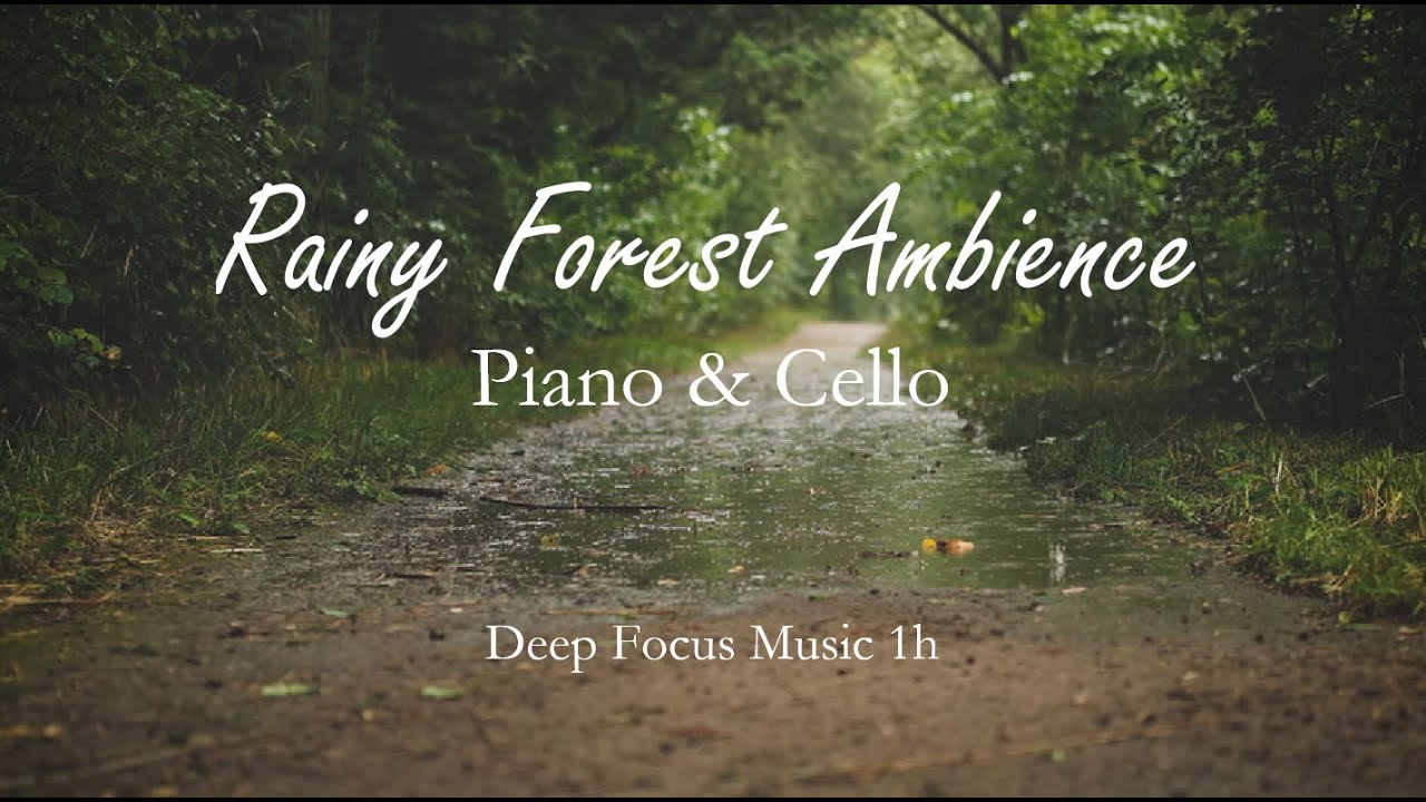 Rainy Forest Ambience | Piano & Cello | Deep Focus Music 1h - YouTube
