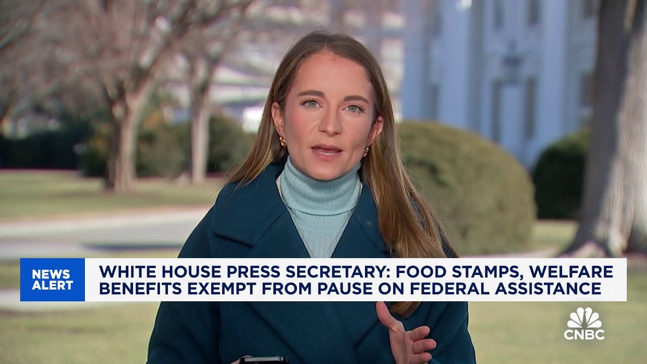 White House holds first press briefing addressing federal assistance ...