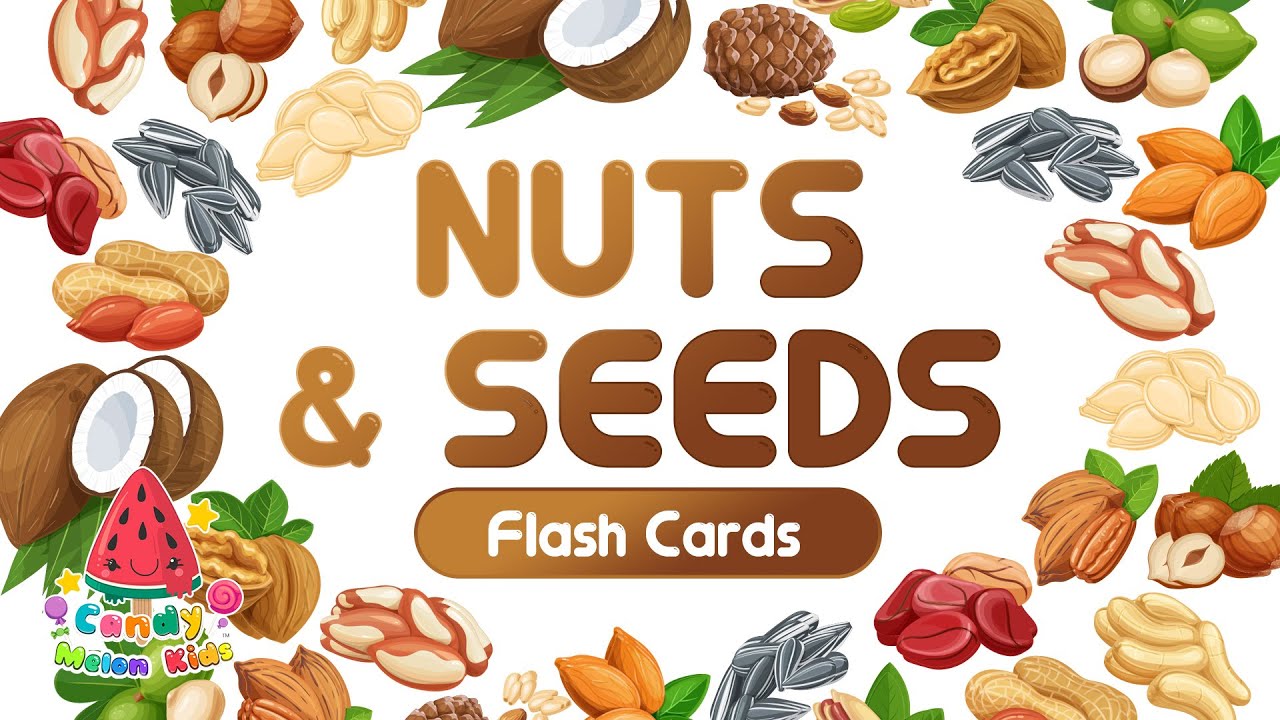 Nuts and Seeds Flash Cards | Vocabulary in English - YouTube