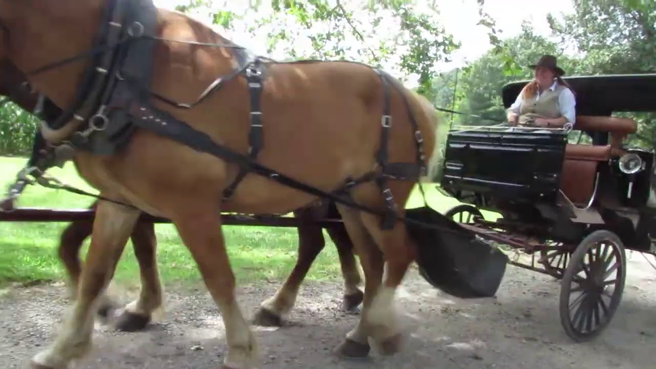 Biltmore Estate Carriage Ride - YouTube