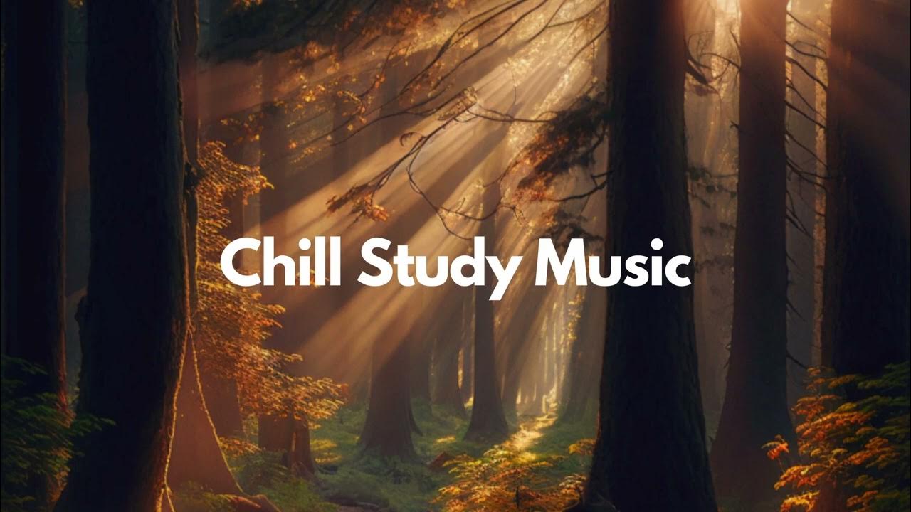 Chill Study Music 〰️ Chill Lo-Fi Beats for Studying, Focus and Unwinding - YouTube