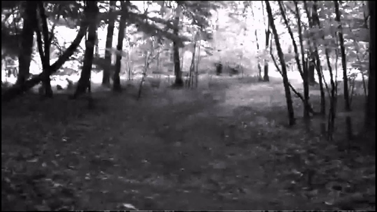 Geno Cultshit - Run Along (NEW SINGLE 2015) - YouTube