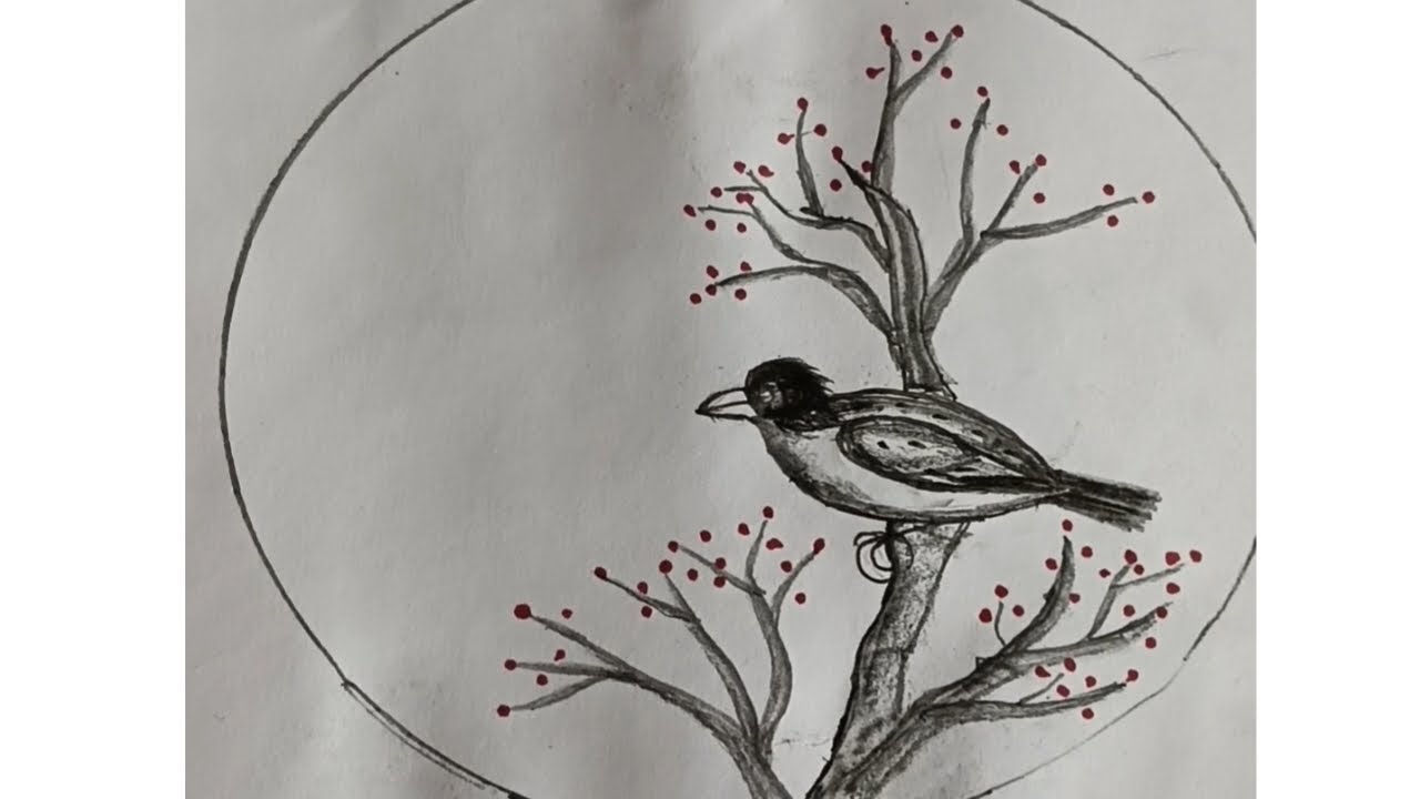birds drawing,, easy Birds drawing in the tree,, #drawing #art # ...