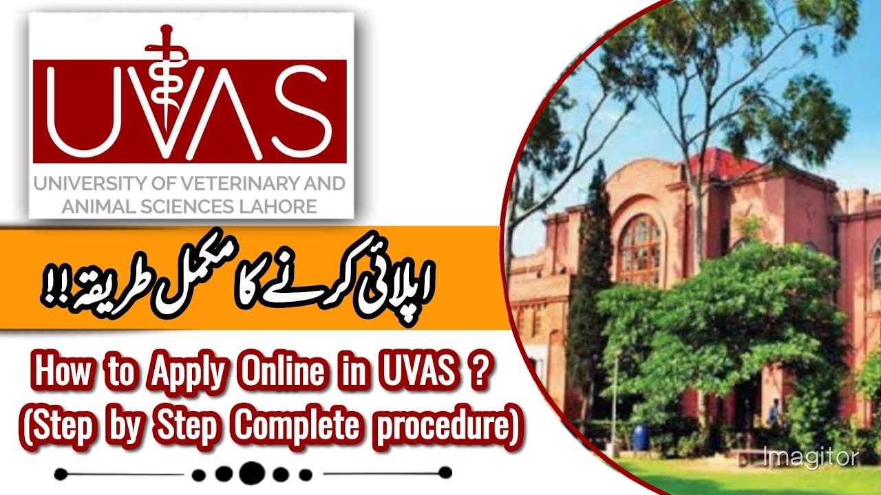 How to Apply Online in UVAS 2022 :: Step by Step Complete procedure ...