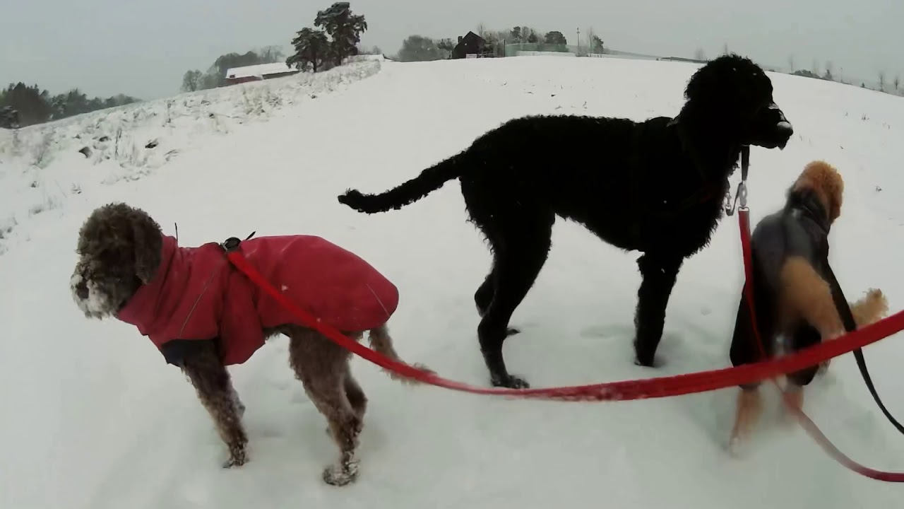 What did we do today? - YouTube