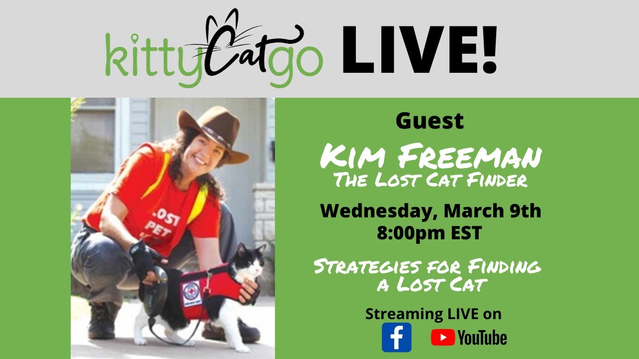 KittyCatGO LIVE! with Kimberley Freeman, The Lost Cat Finder - YouTube