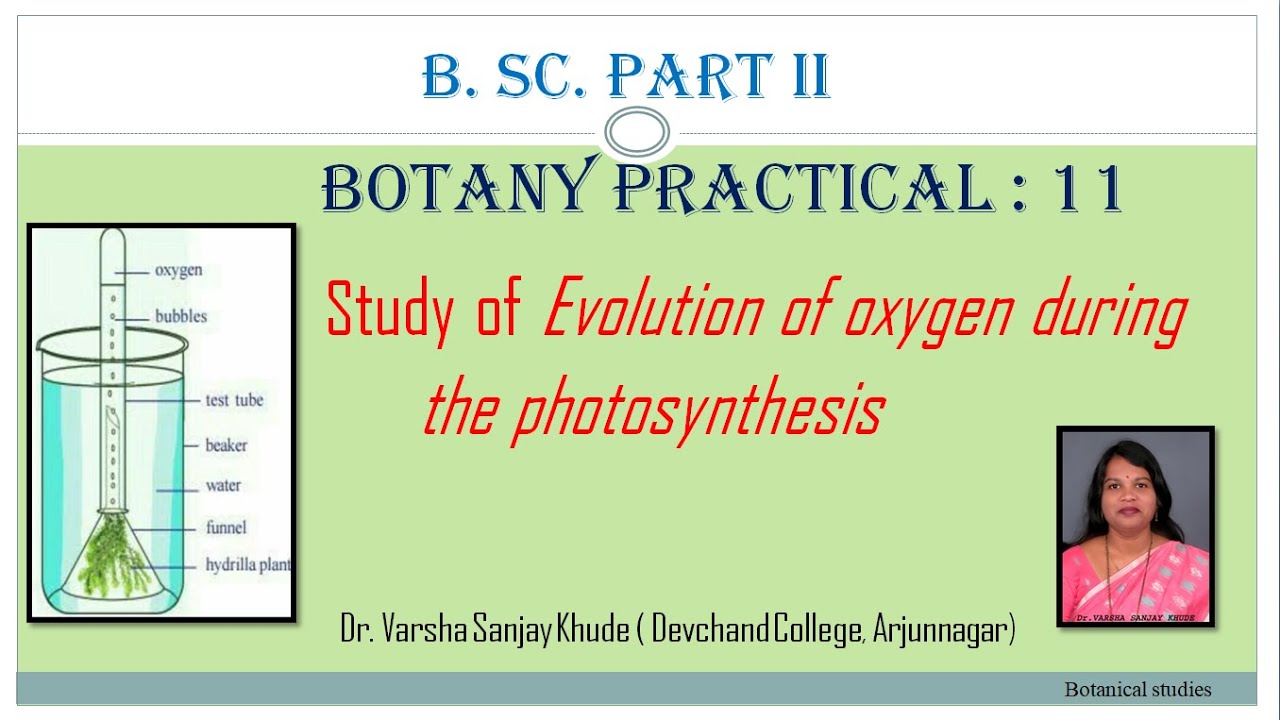 Study of evolution of oxygen during Photosynthesis| Dr. Varsha Khude ...