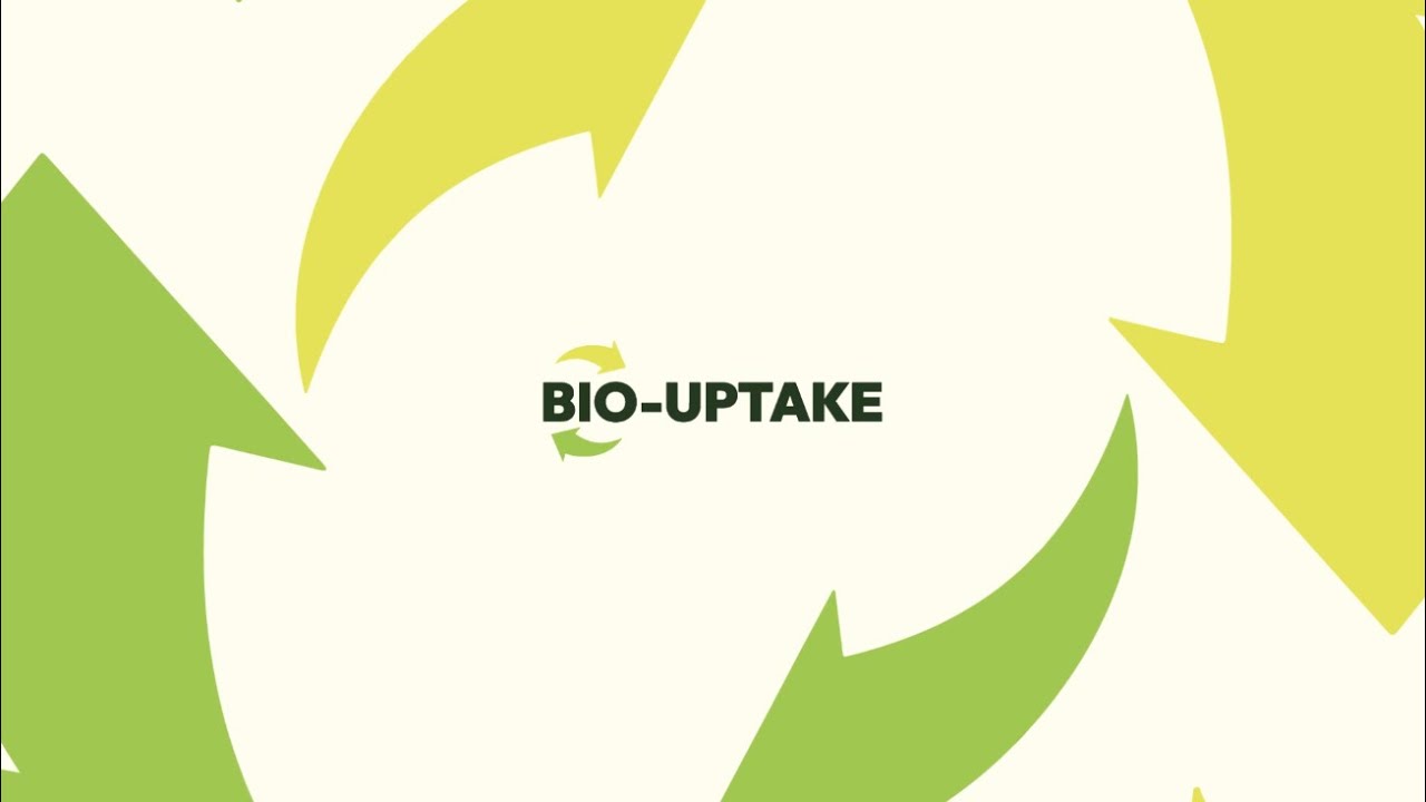Discover our Project : BIO UPTAKE - YouTube