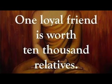 buddha quotes on friends. - YouTube