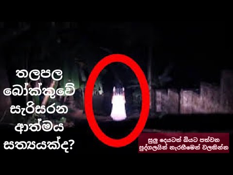 තලපල බෝක්කුවේ සැරිසරන ආත්මය සත්‍යක්ද? || Sri Lanka Ghost || Travel With ...
