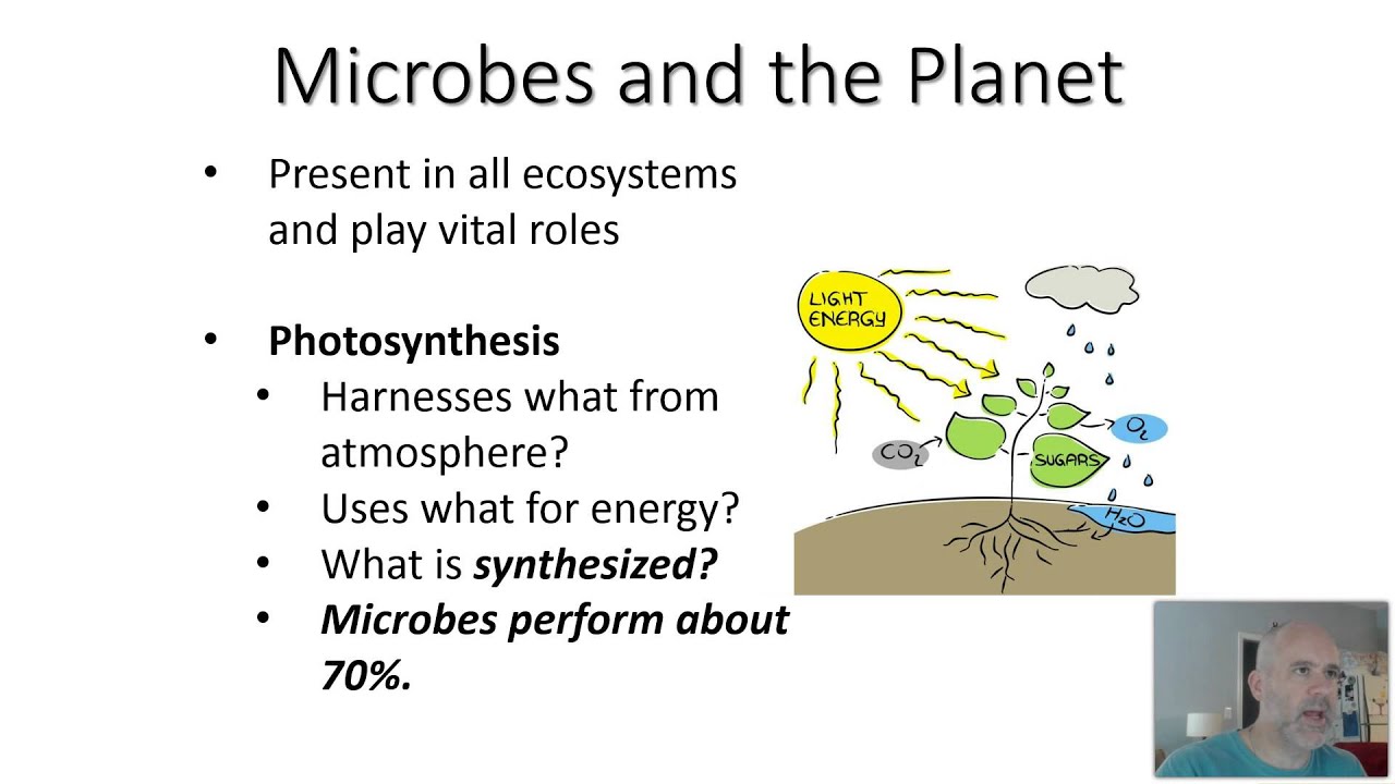 BIO 220 - CHAP 1 - VID 2 - Microbes and the Planet - YouTube