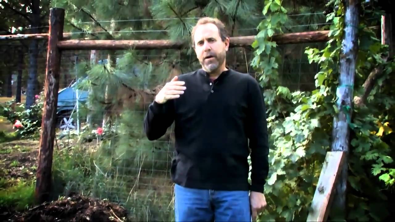 Steve Schein: Week 5 HD - YouTube