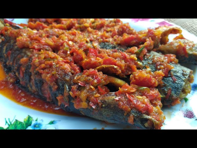 Ikan Keli Berlada