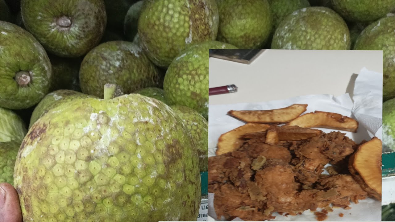 Roast breadfruit &Frayed /with Fried Chicken wings 💸 🍗 By Pablo Cooking ...