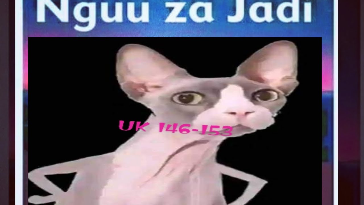 Uchambuzi wa Nguu za Jadi UK 146-153// Kichaa cha Sagilu... - YouTube