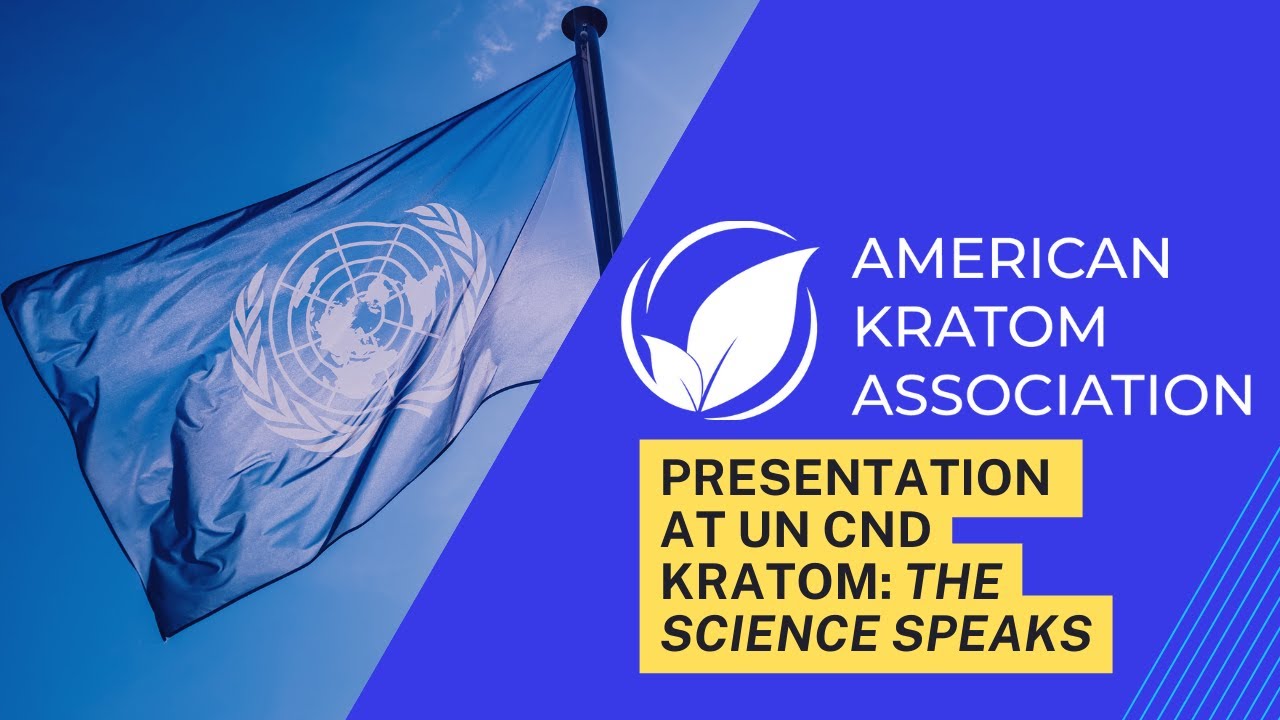 UN CND Full Presentation - YouTube