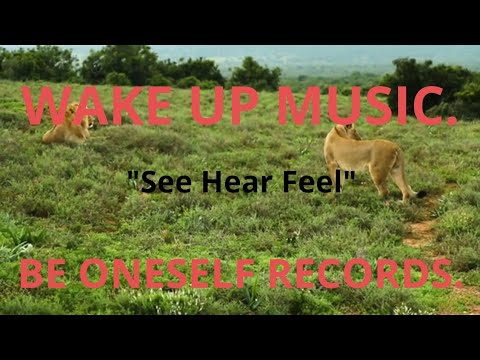 "SEE HEAR FEEL" (WAKE UP MUSIC). SALUTE! - YouTube