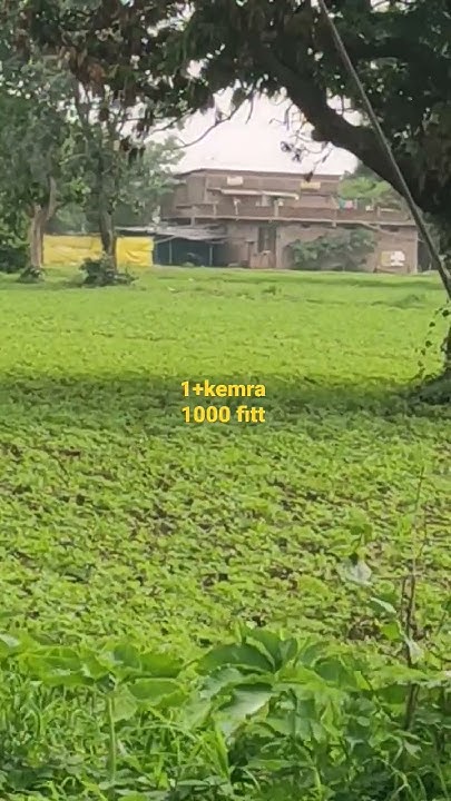 1+ kemra qwaliti - YouTube