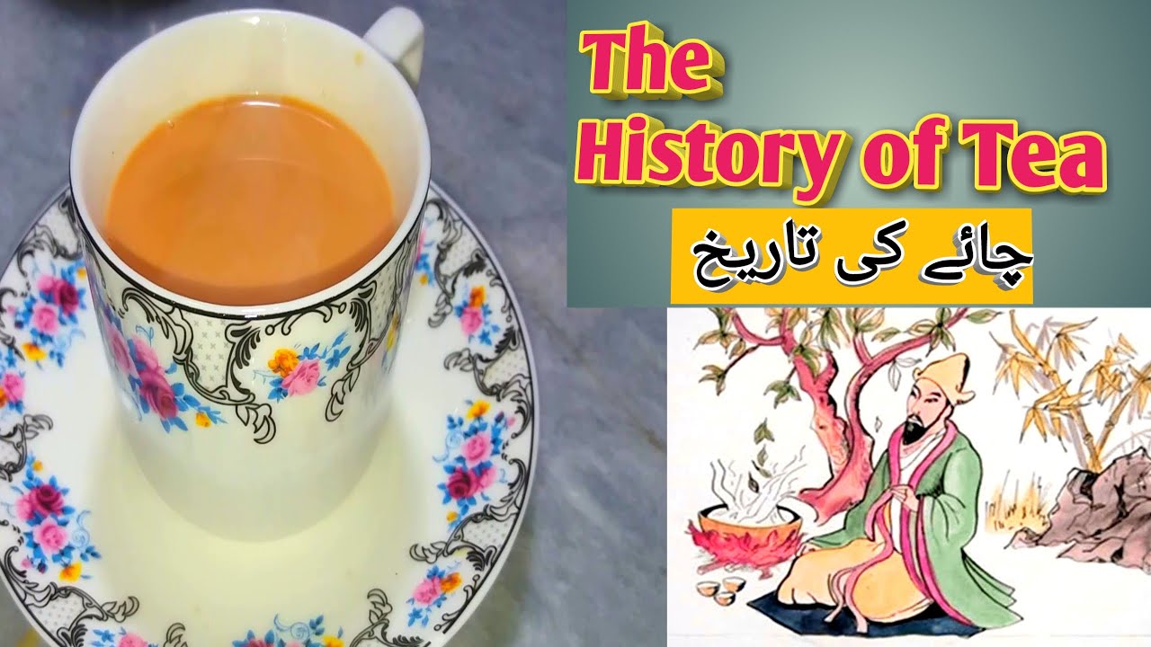The History of Tea | Interesting Facts about Tea | Traditional Cooking ...
