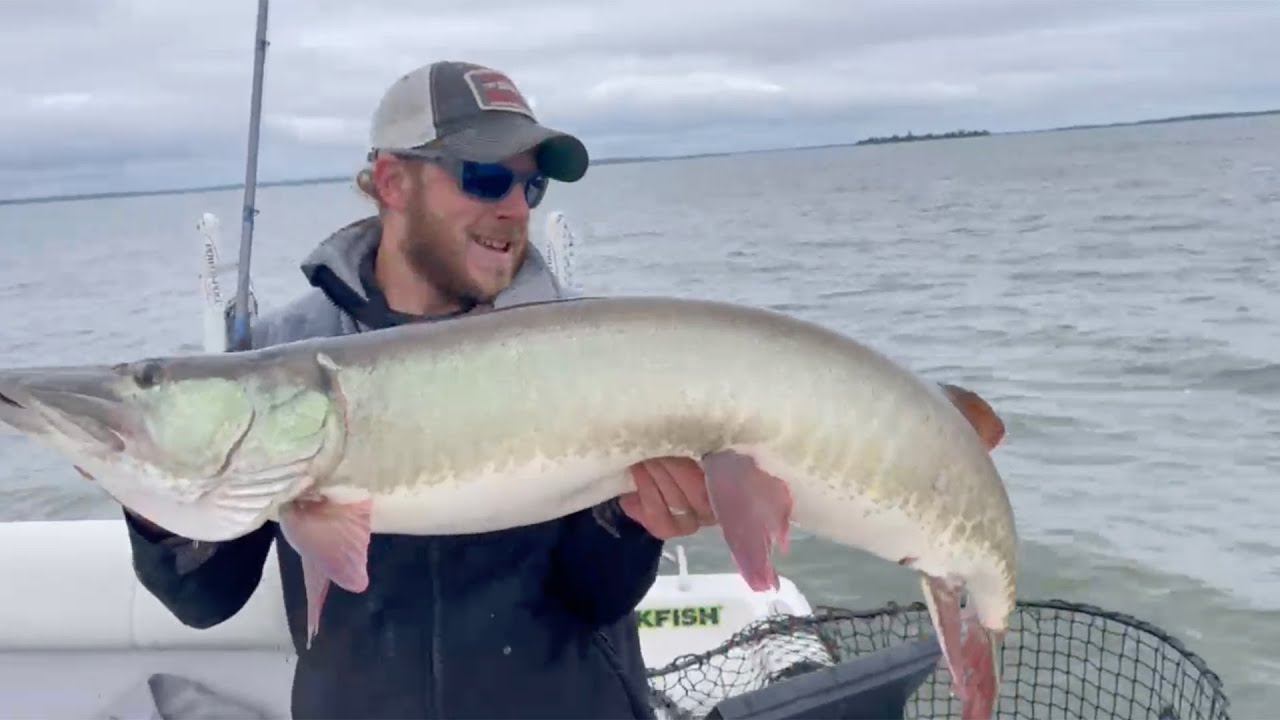Musky Bite