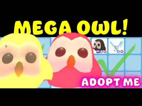 🙀🦉WHOA! WIN TRADE for the FIFTH BEST pet in ADOPT ME! A MEGA OWL. HOW ...