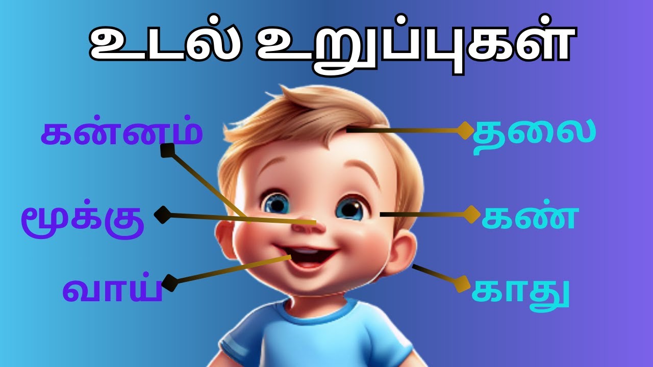 மனித உடல் உறுப்புகள் | Learn Human Body Parts name in Tamil and English ...