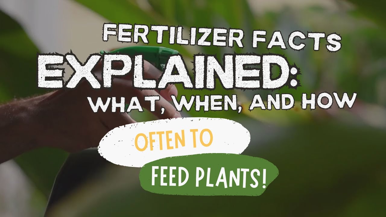 Fertilizer Facts EXPLAINED: What, When, and How Often to Feed Plants ...