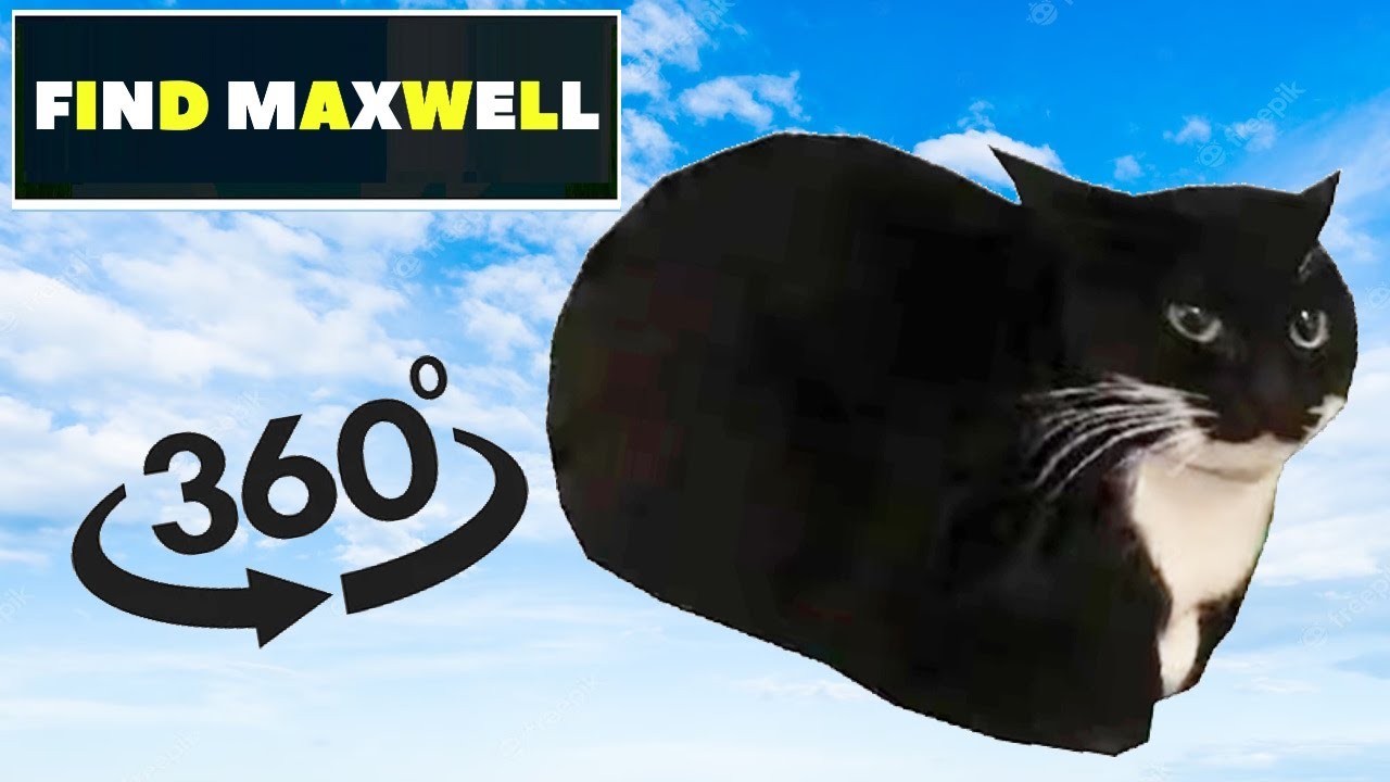 MAXWELL THE CAT 360° - FIND MAXWELL | VR/360° - YouTube
