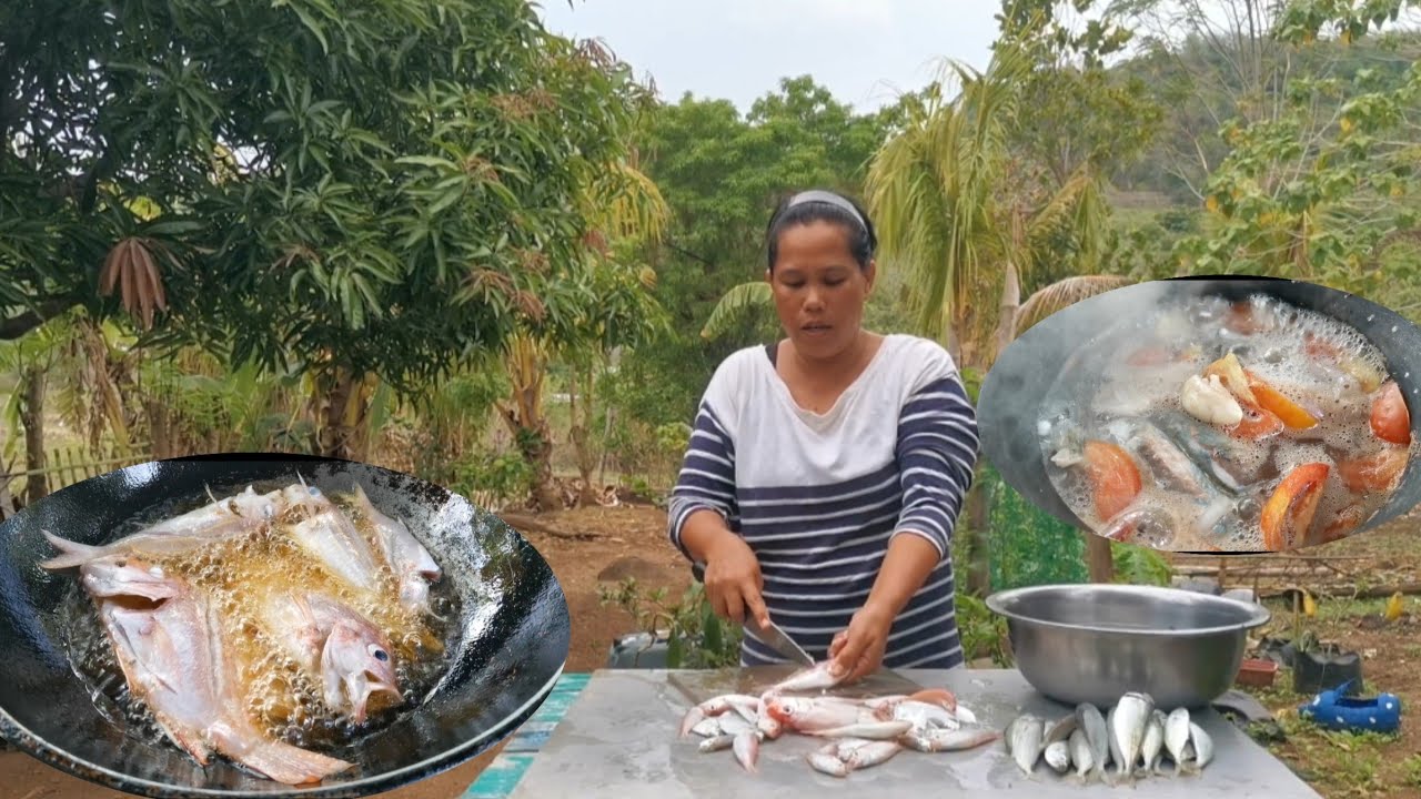 Paksiw na Galonggong at Piniritong Bisugo - YouTube