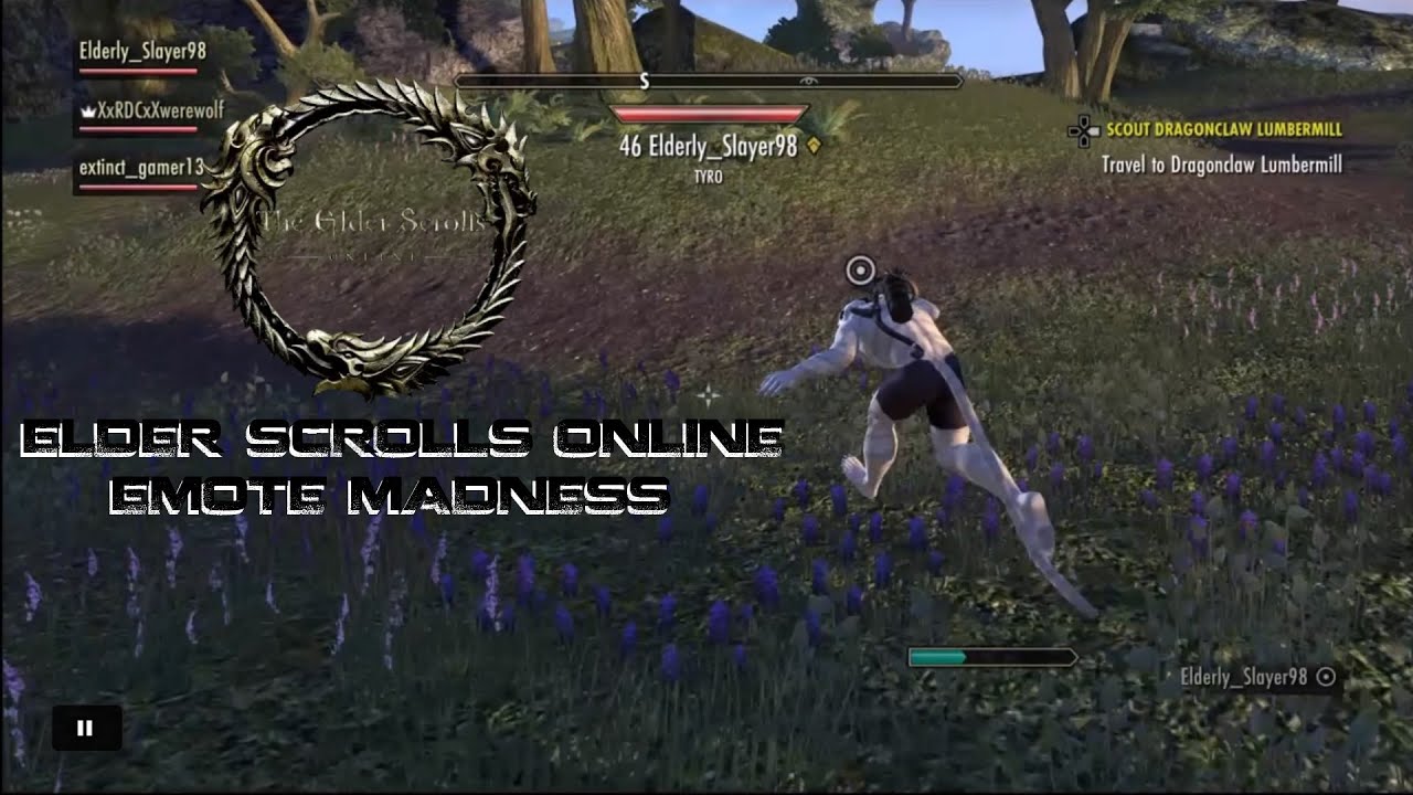 EMOTE INSANITY- Elder Scrolls Online (funny moments) - YouTube