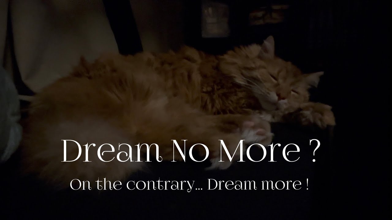 Dream No More ? On the contrary… Dream more ! - YouTube