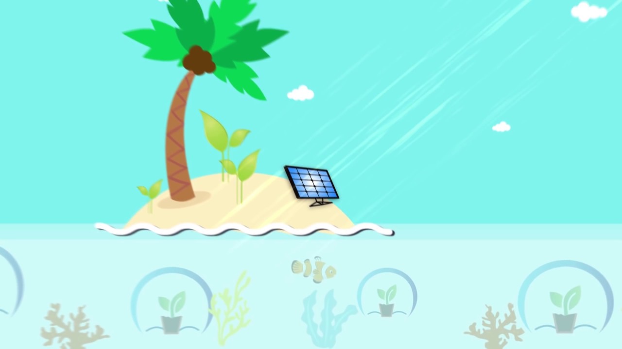 Nemo's Garden Official Video Pitch - YouTube