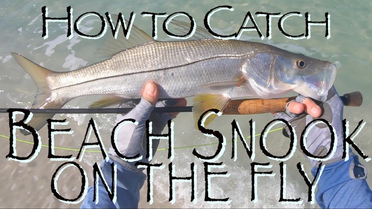 Fly Fishing Snook on Beach | How to Catch & Sight Fish Surf 101 ...