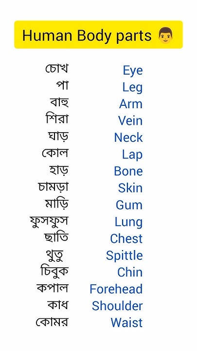 Human Body Parts👱Bengali to English parts name#body parts#vocabs#shorts ...