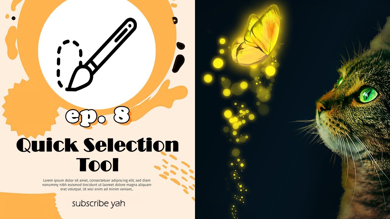 ep 8 Quick Selection Tool - Photoshop Beginner Friendly Tutorial - YouTube