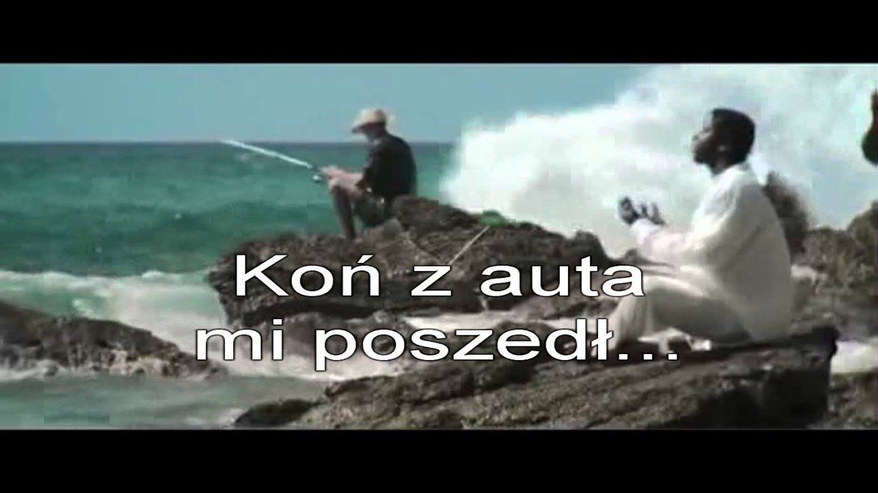 RIO - Shine On (Piosenka o koniu) - YouTube