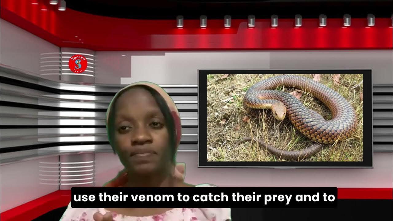 Are snakes poisonous? - YouTube