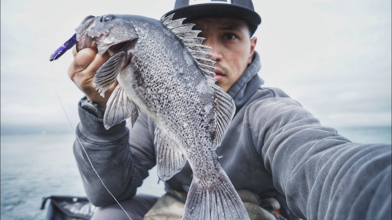 Westport Jetty bottom fishing with Lancer Jigs - YouTube