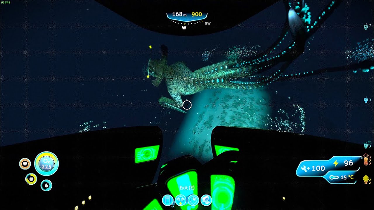 A wild Sea Emperor all grown up - YouTube