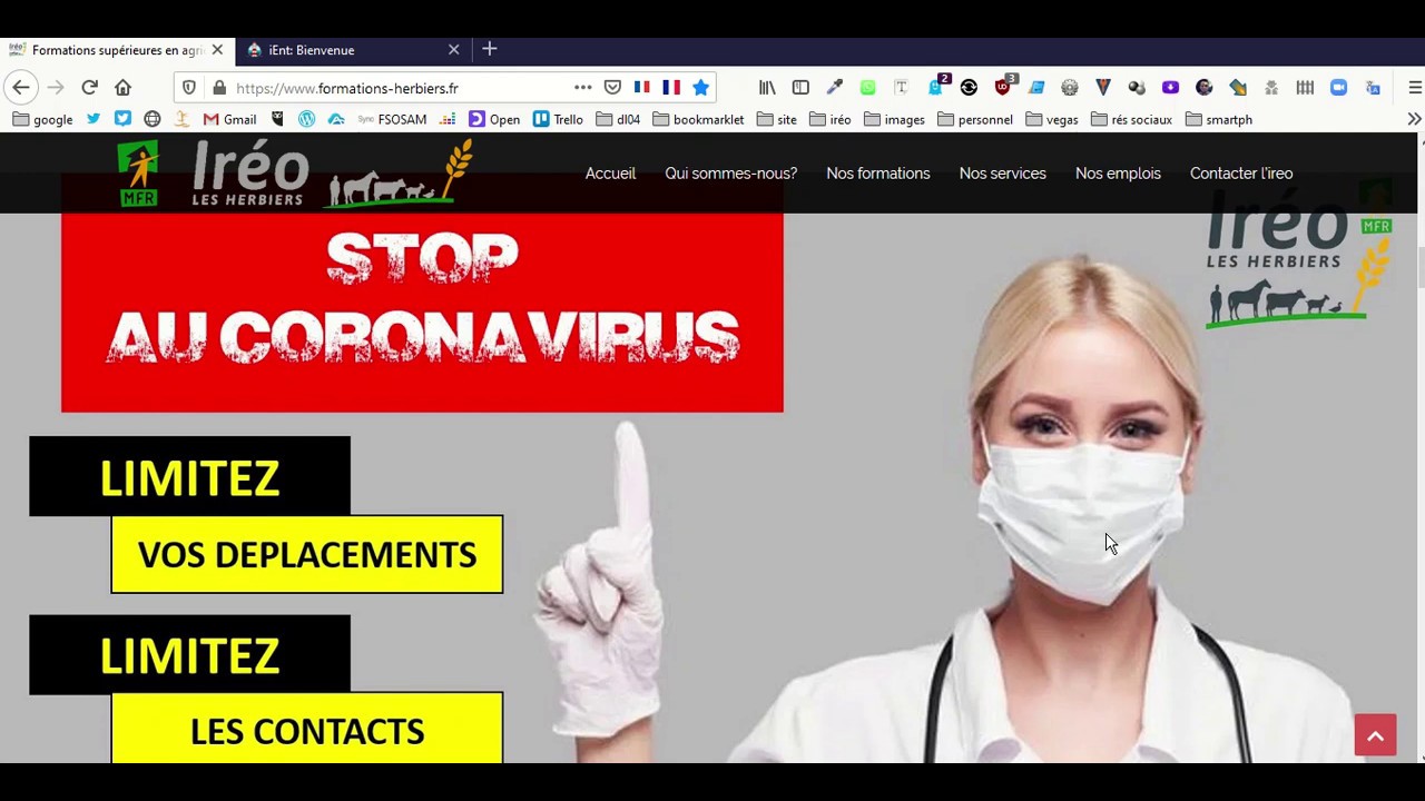 Tutoriel pour suivre les cours en visio - YouTube