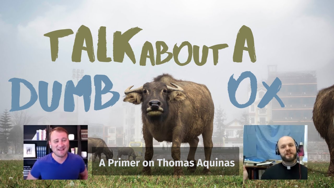 Talk About a Dumb Ox: A Primer on Thomas Aquinas - YouTube