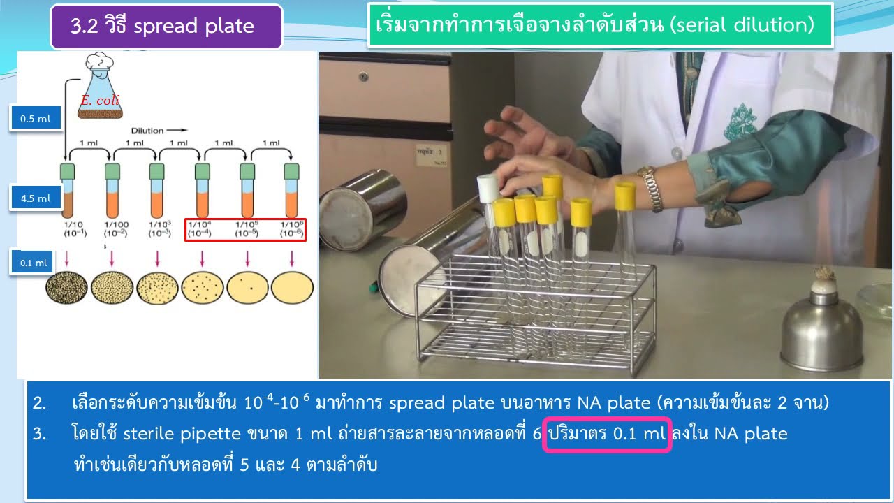 Serial dilution, Spread plate and Pour plate - YouTube