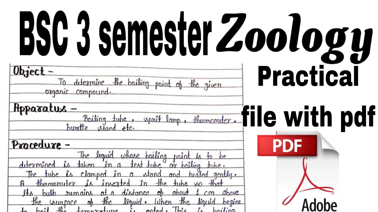 Bsc 3 semester Zoology practical file with pdf download - YouTube