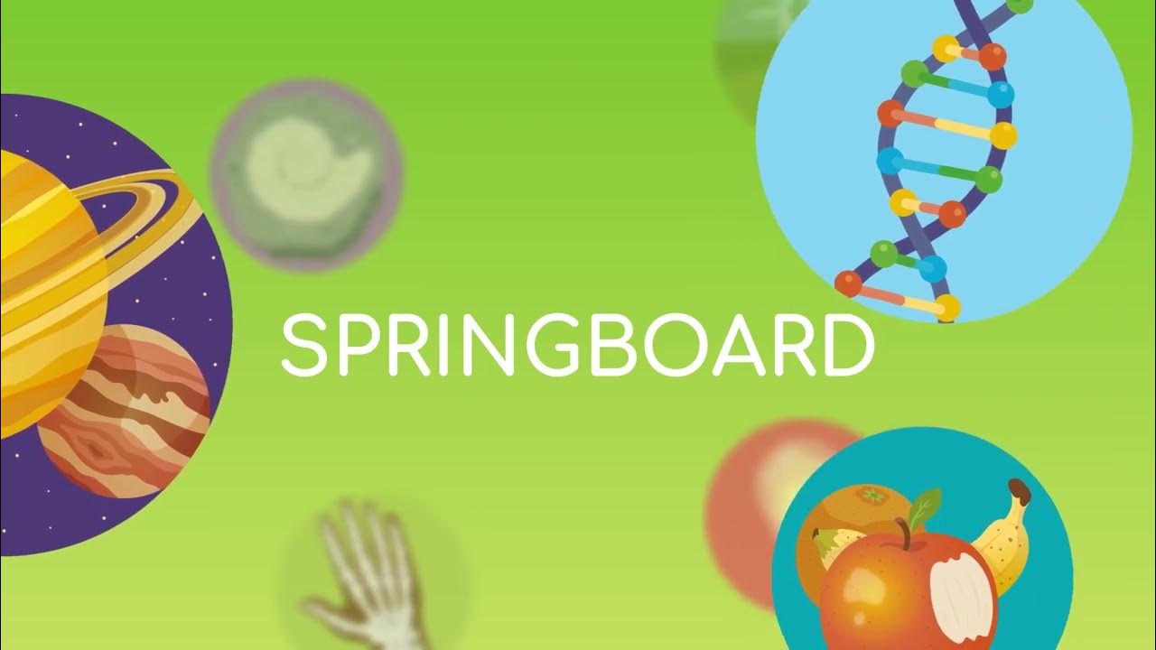 Springboard KS3 Science: Introduction - YouTube