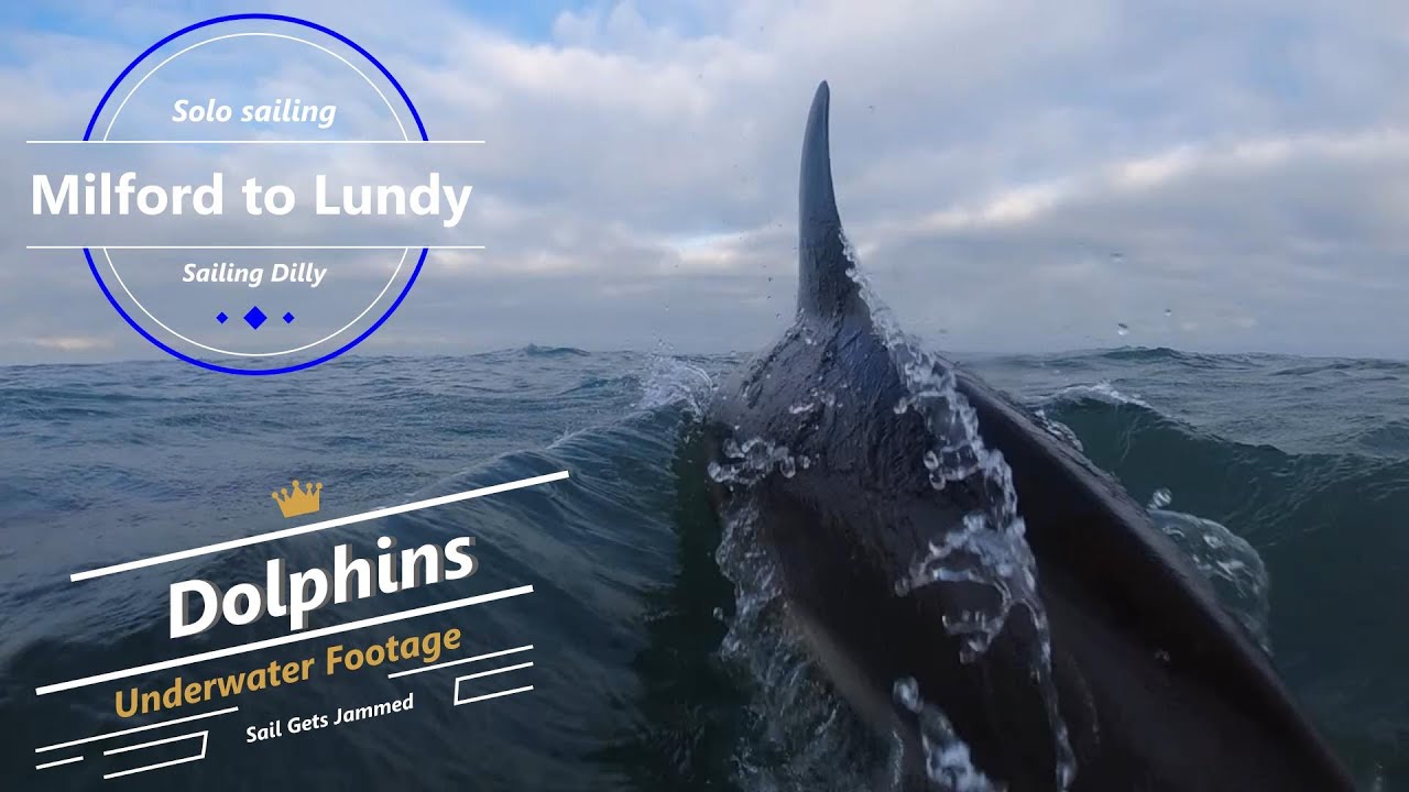 Sailing solo series 1 episode 1.2 to isolated island, Dolphins, Milford ...