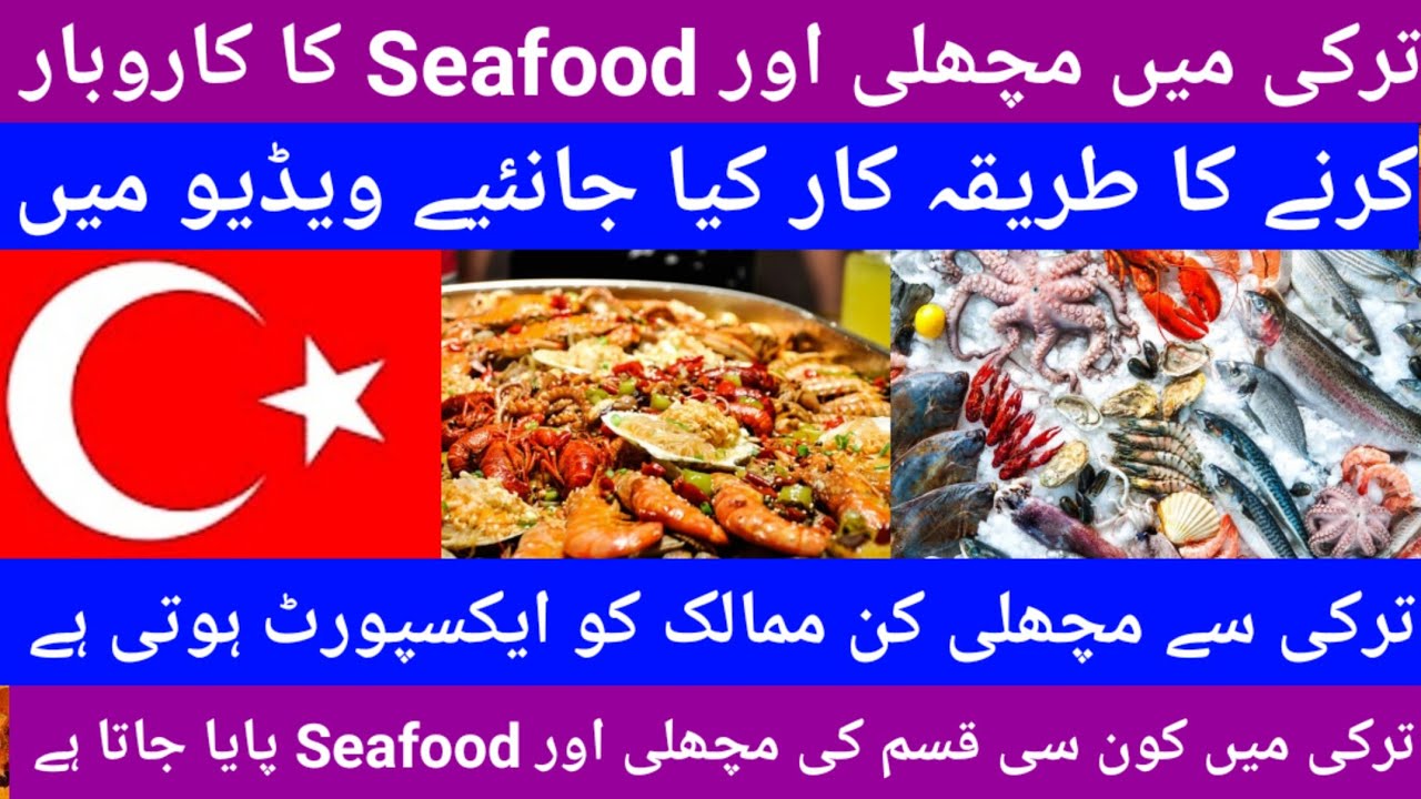 Fish and seafood business in Turkey, Types of fish in Turkey fish ...