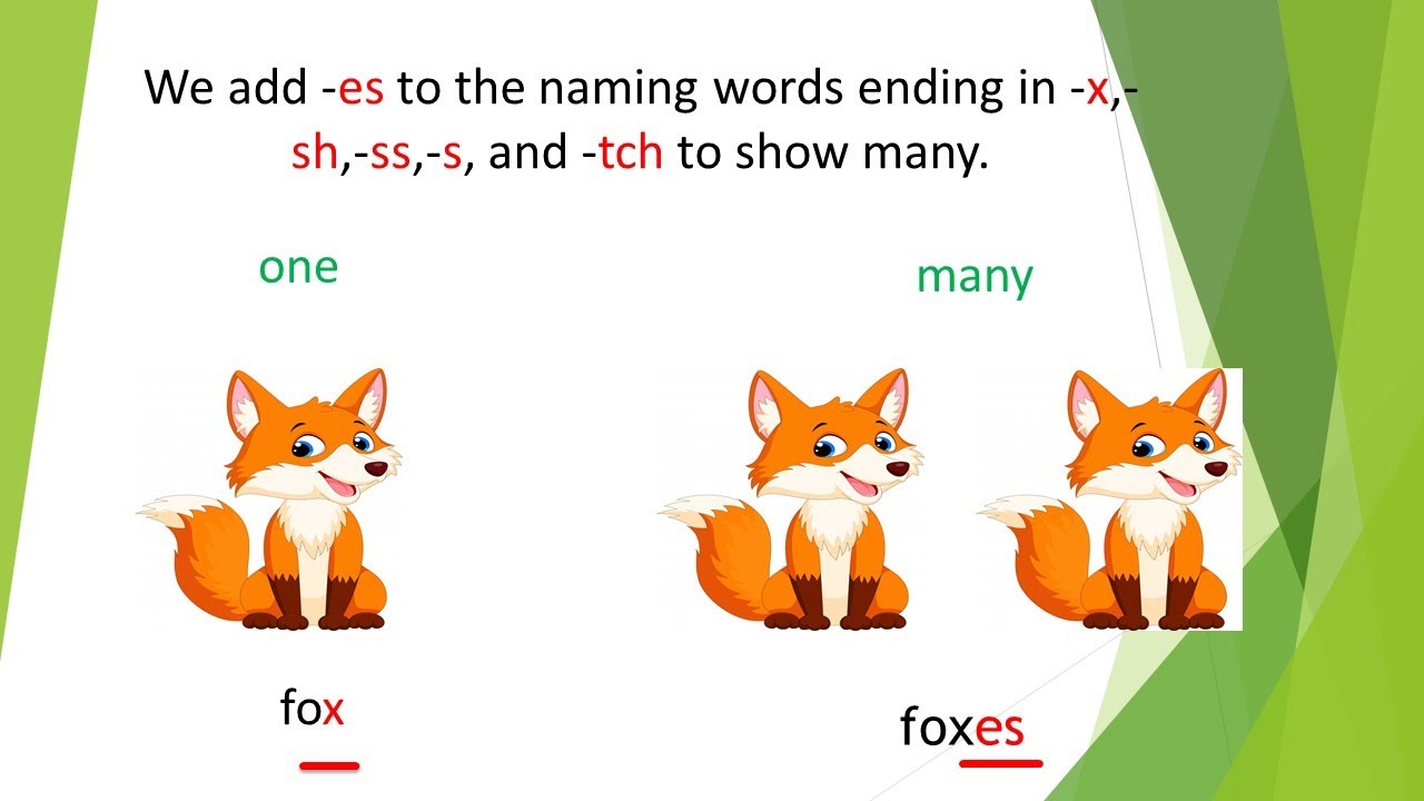 One and Many | English grammar for kids | class 1 kids English grammar ...